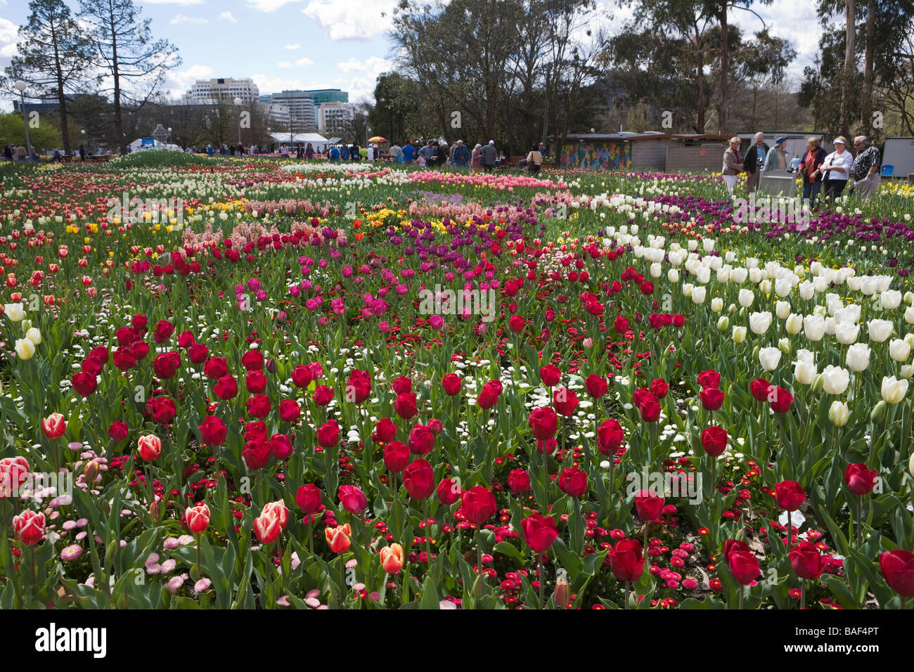 Hillside floral spectacular, Commonwealth park, Canberra, Australian ...