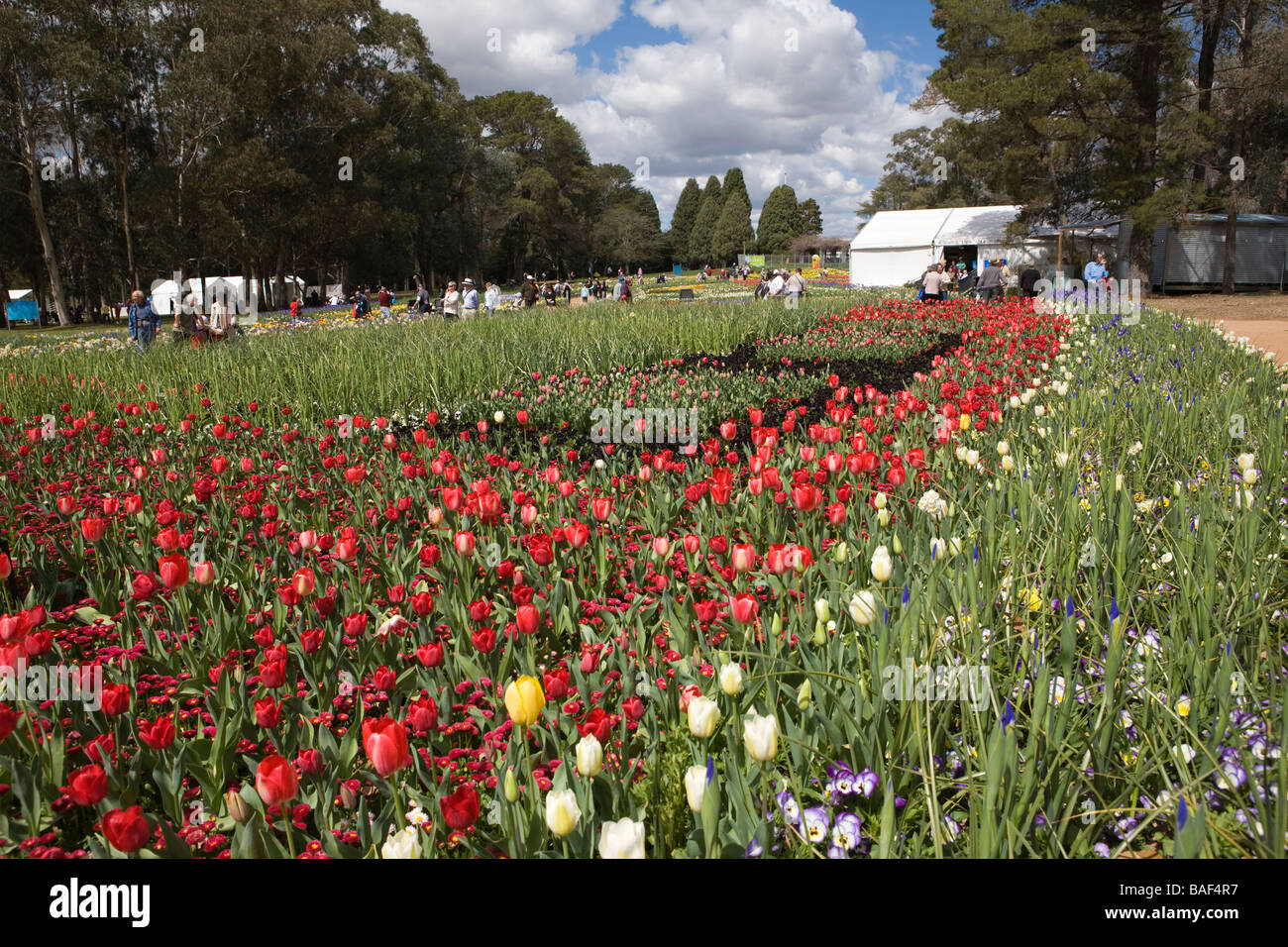 Hillside floral spectacular, Commonwealth park, Canberra, Australian ...