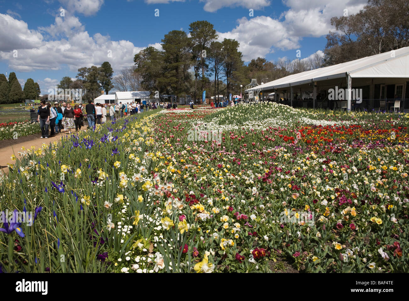 Hillside floral spectacular, Commonwealth park, Canberra, Australian ...
