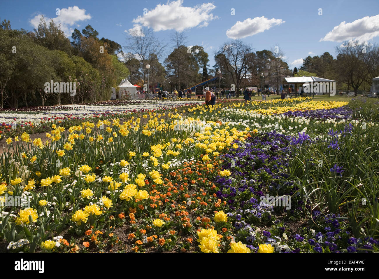 Floral spectacular, Commonwealth park, Canberra, Australian Capital ...