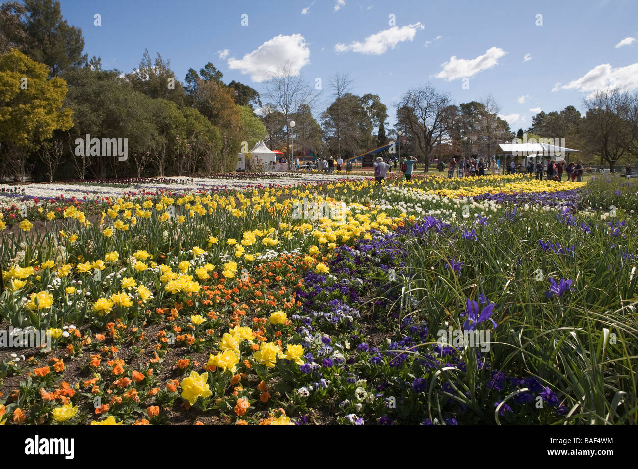 Floral spectacular, Commonwealth park, Canberra, Australian Capital ...