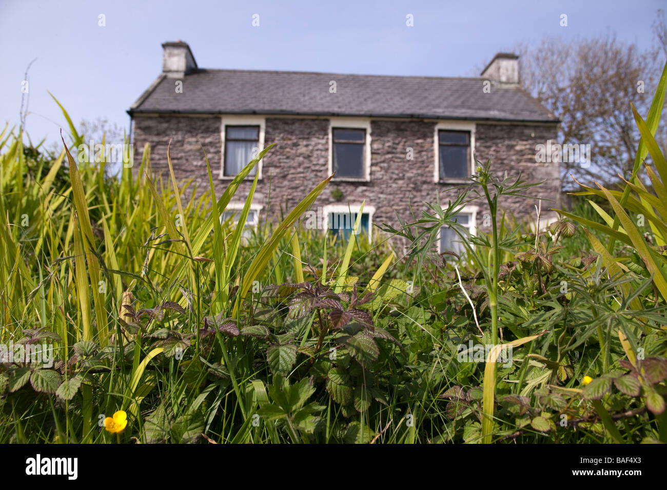 Ireland grass hi-res stock photography and images - Alamy