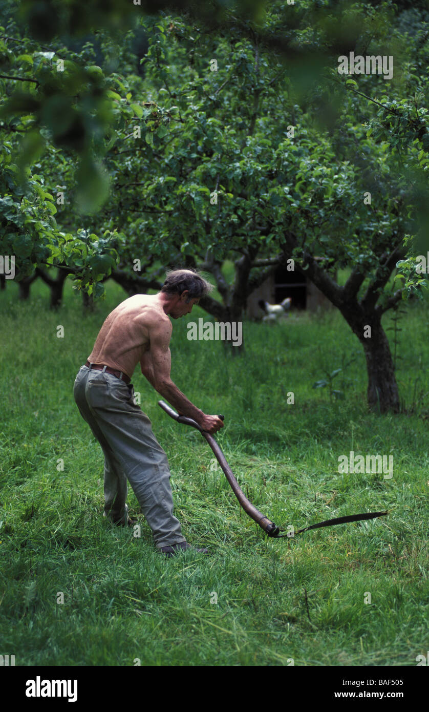 Scything the hay hi-res stock photography and images - Alamy