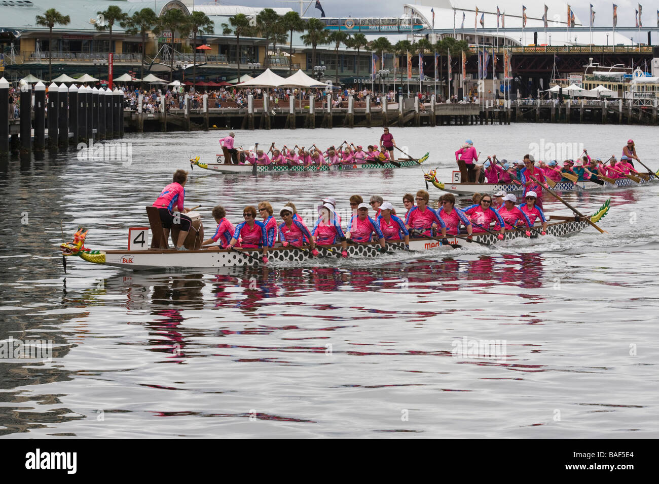 Dragon Boat Race, Sydney, New South Wales, Australia Stock Photo - Alamy