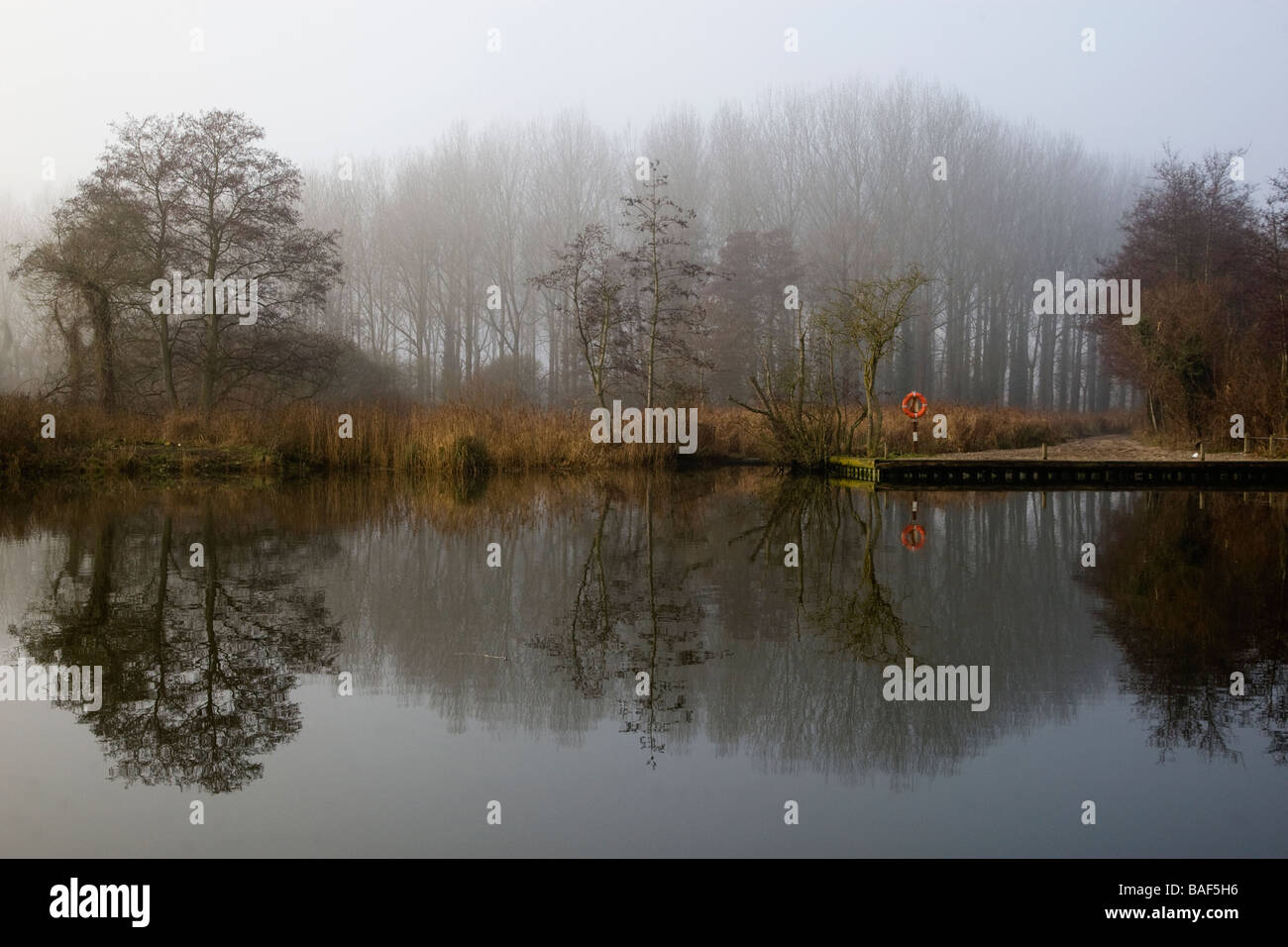 Mirror reflection on the River Yare, Norfolk Stock Photo - Alamy