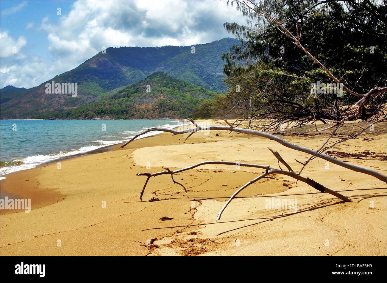 The secluded beach of Thala Beach, Queensland, Australia Stock Photo ...
