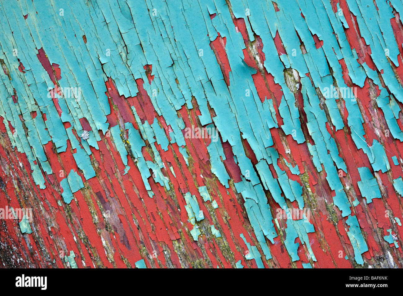 Paint flaking off weathered timber Stock Photo - Alamy