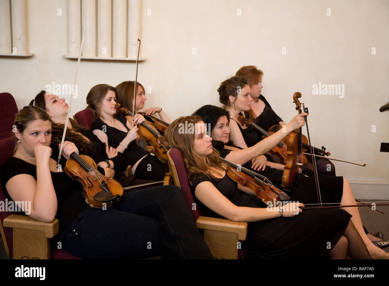 Violins and bows hi-res stock photography and images - Alamy