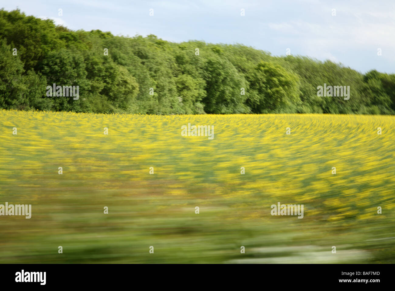 A field rushing past at speed Stock Photo - Alamy