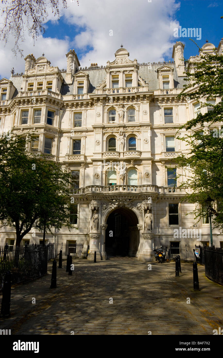 London embankment trees hi-res stock photography and images - Alamy