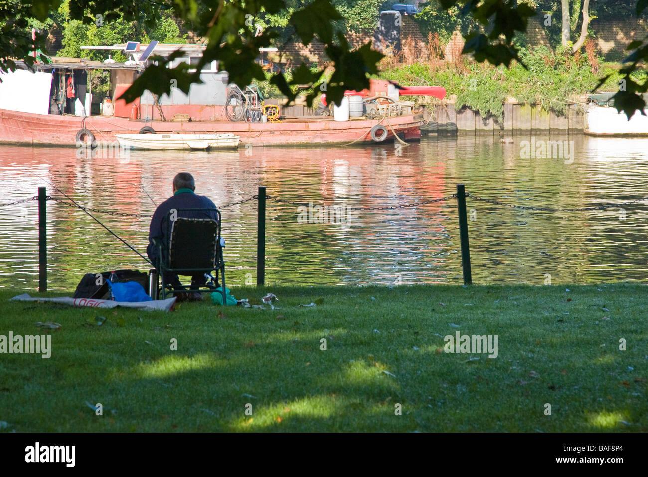 Coarse fishing angler, under trees, by the River Thames upstream from ...