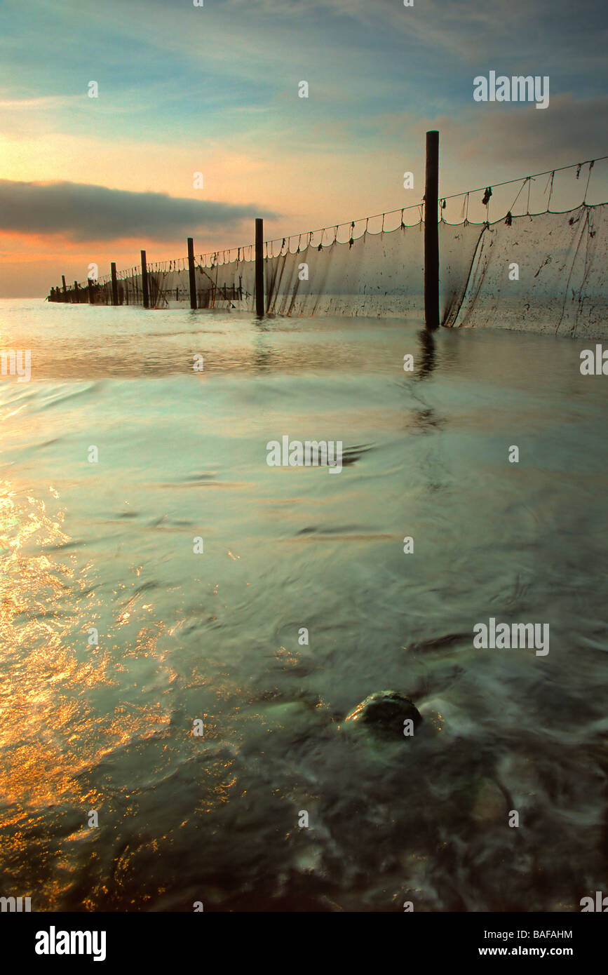 Large fishnet in the sea taken at sunset with beautiful golden colors ...