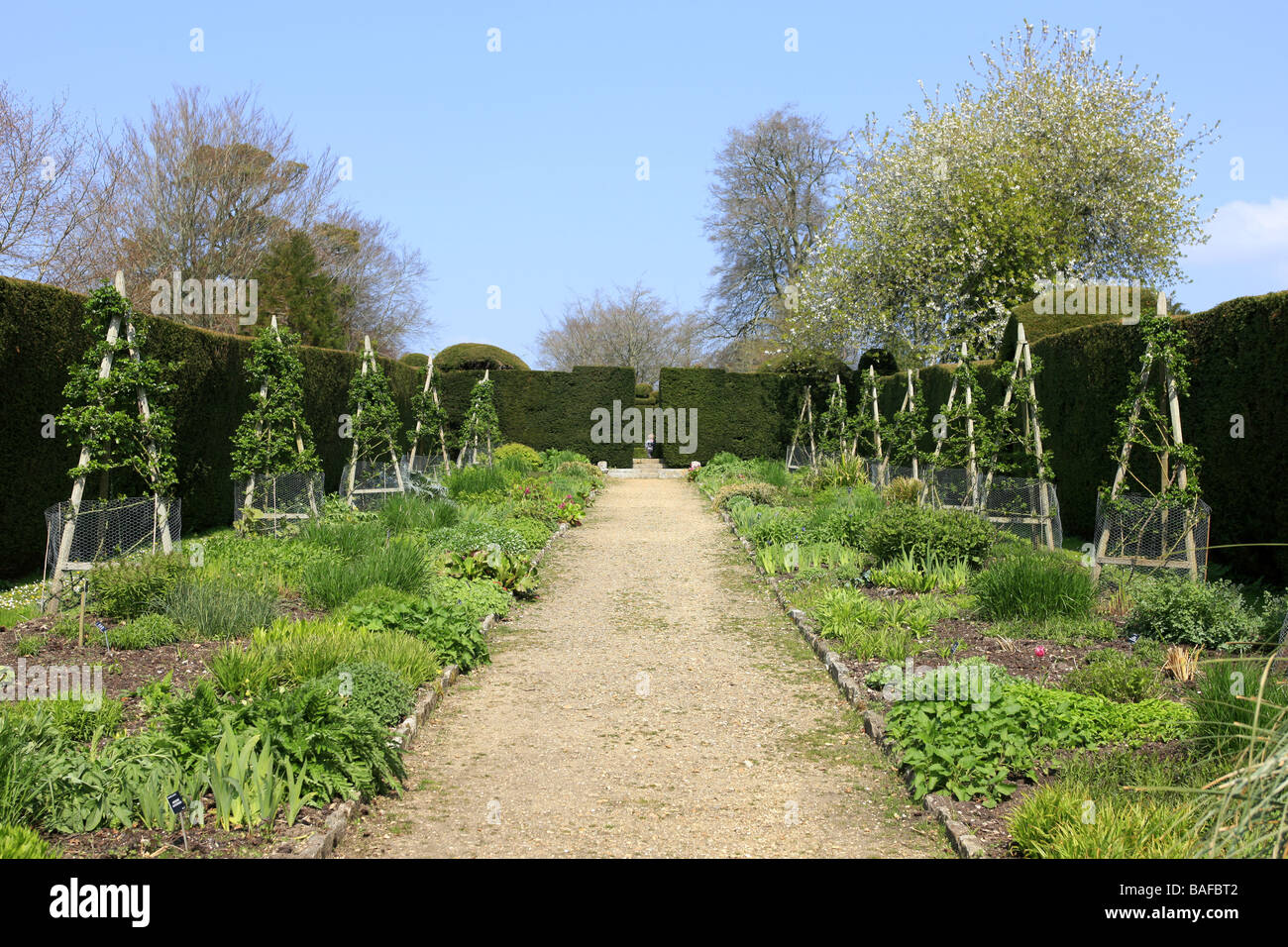 Pathway through borders hi-res stock photography and images - Alamy