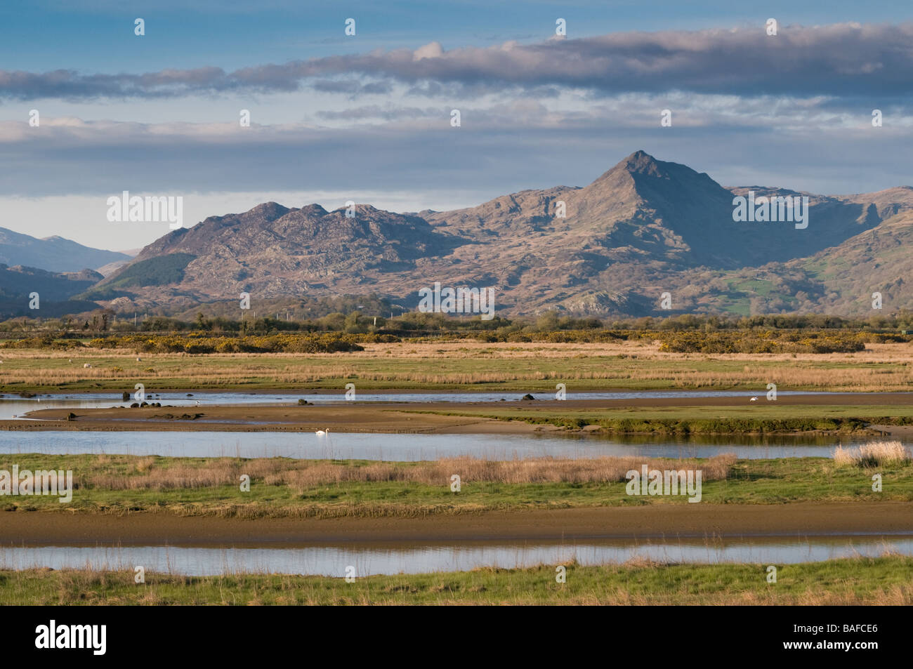 Cnicht mountain hi-res stock photography and images - Alamy