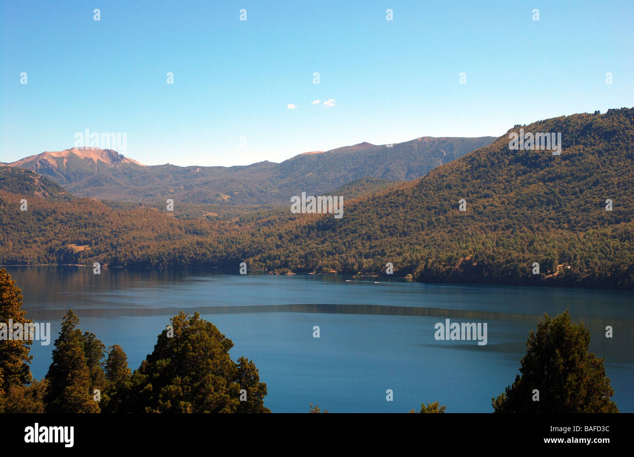 The lake Lacar at the Lanin national park in the Argentinean Patagonia ...
