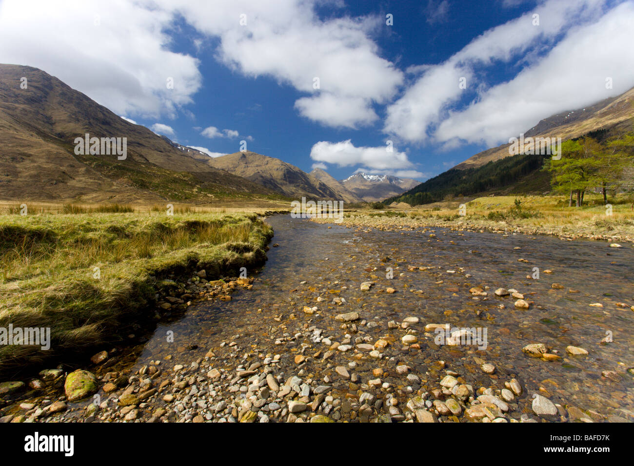 Glen sheil hi-res stock photography and images - Alamy