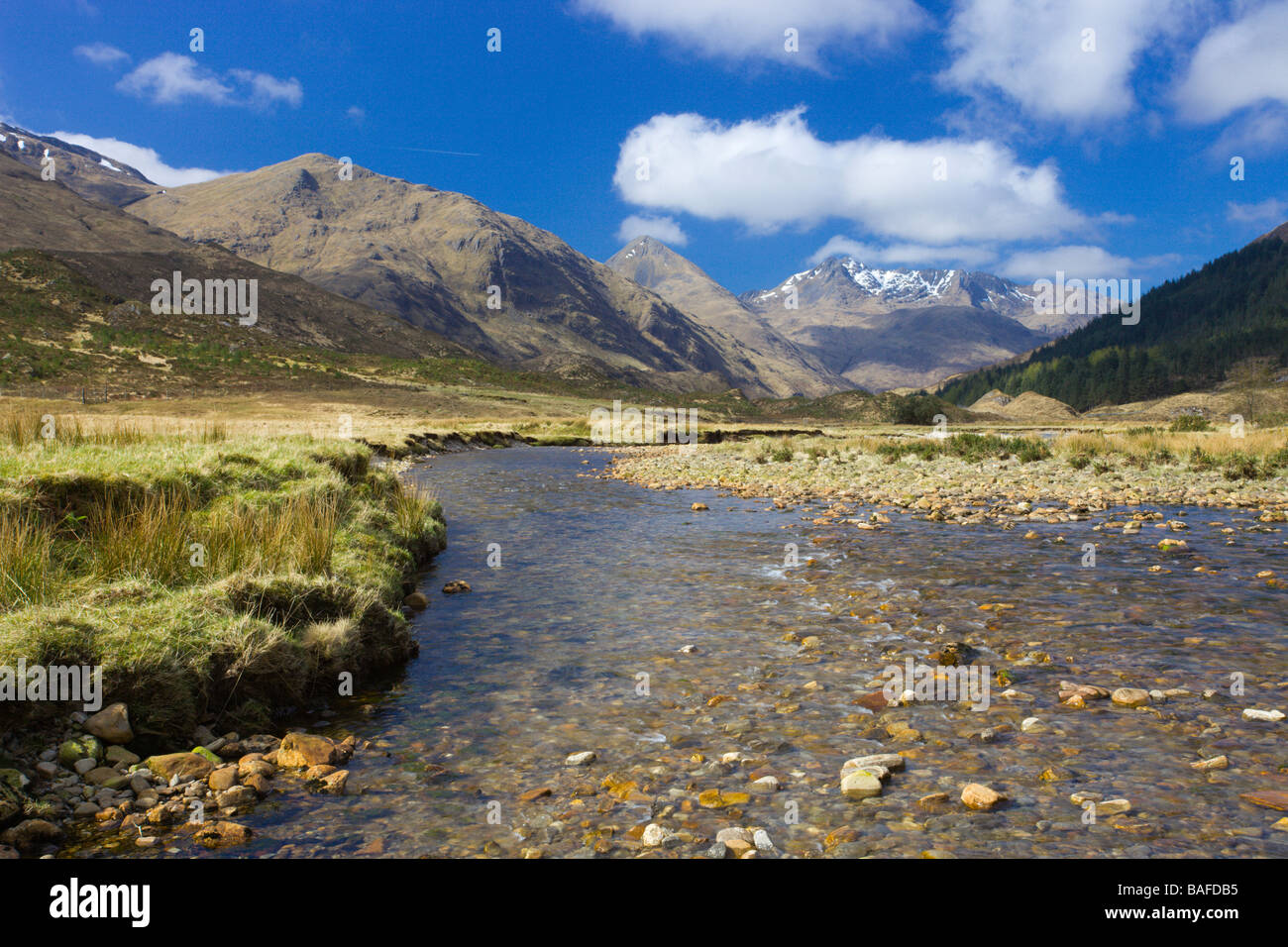Glen sheil hi-res stock photography and images - Alamy