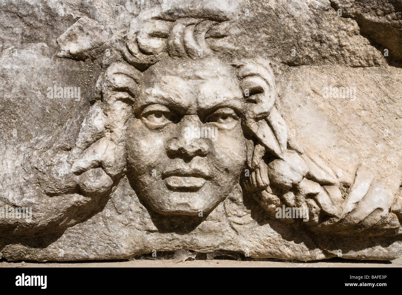 Round Face. A slightly chubby face is depicted in this characterful ...