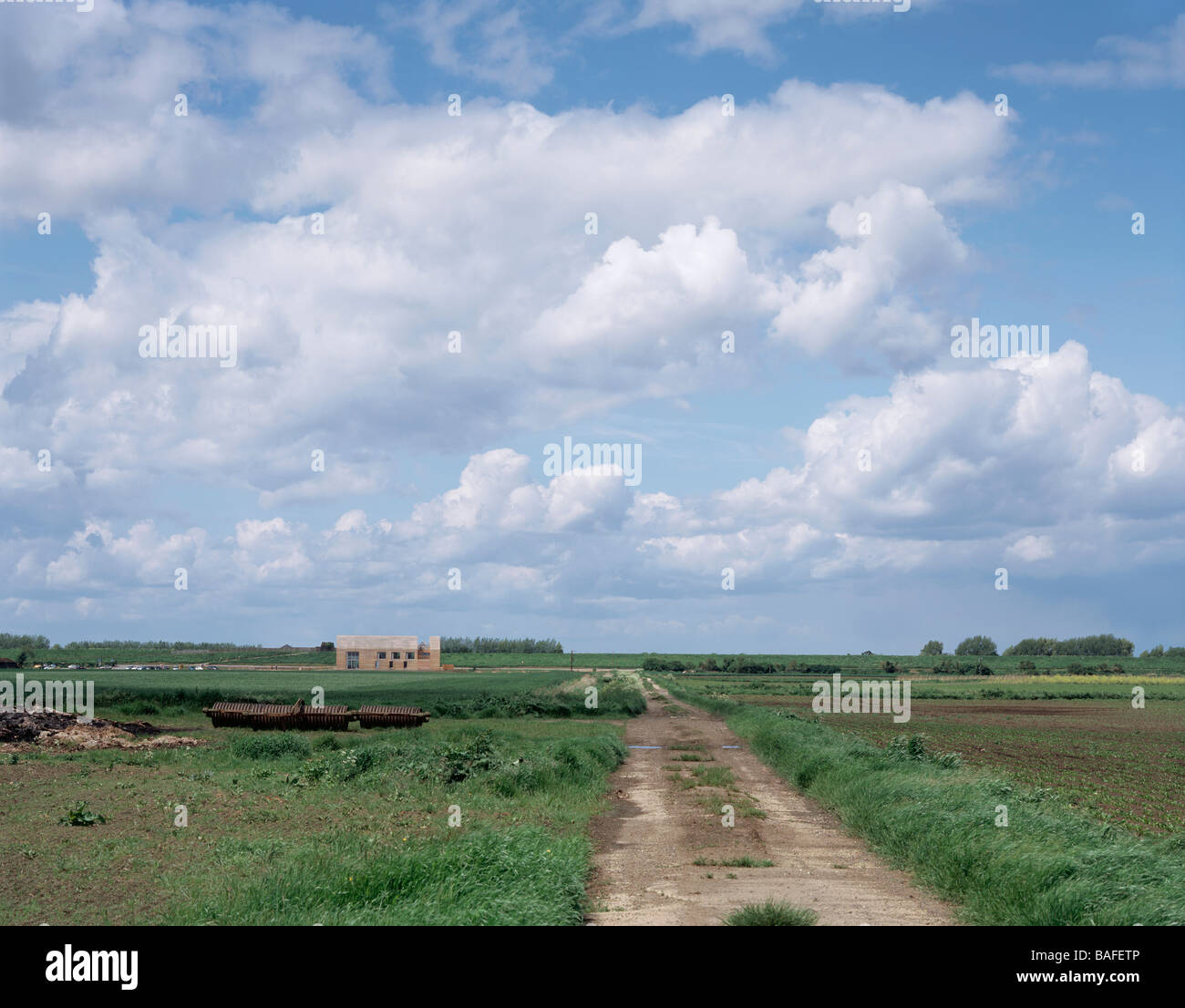 Welney Wildfowl and Wetland Trust, Welney Wisbech, United Kingdom ...