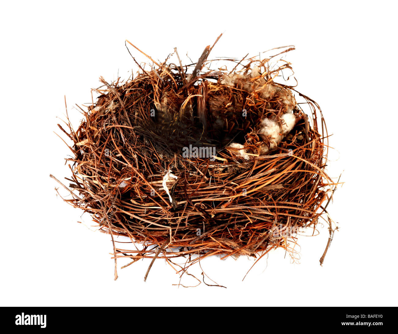 Empty nest hi-res stock photography and images - Alamy