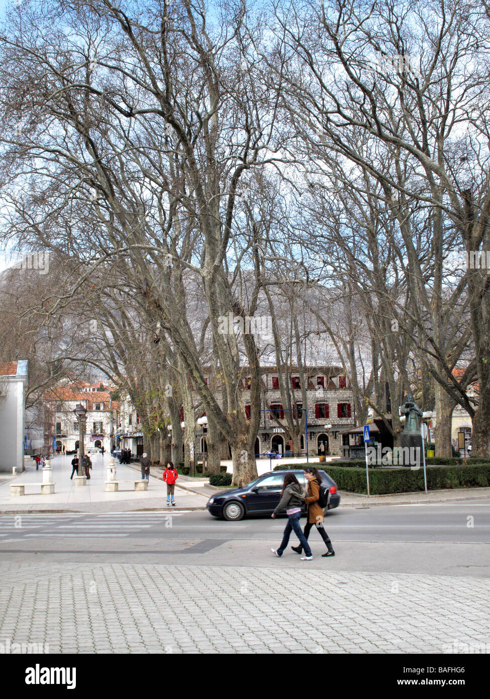 Bosnia and Herzegovina Republik of Srpska Main square with old maple ...
