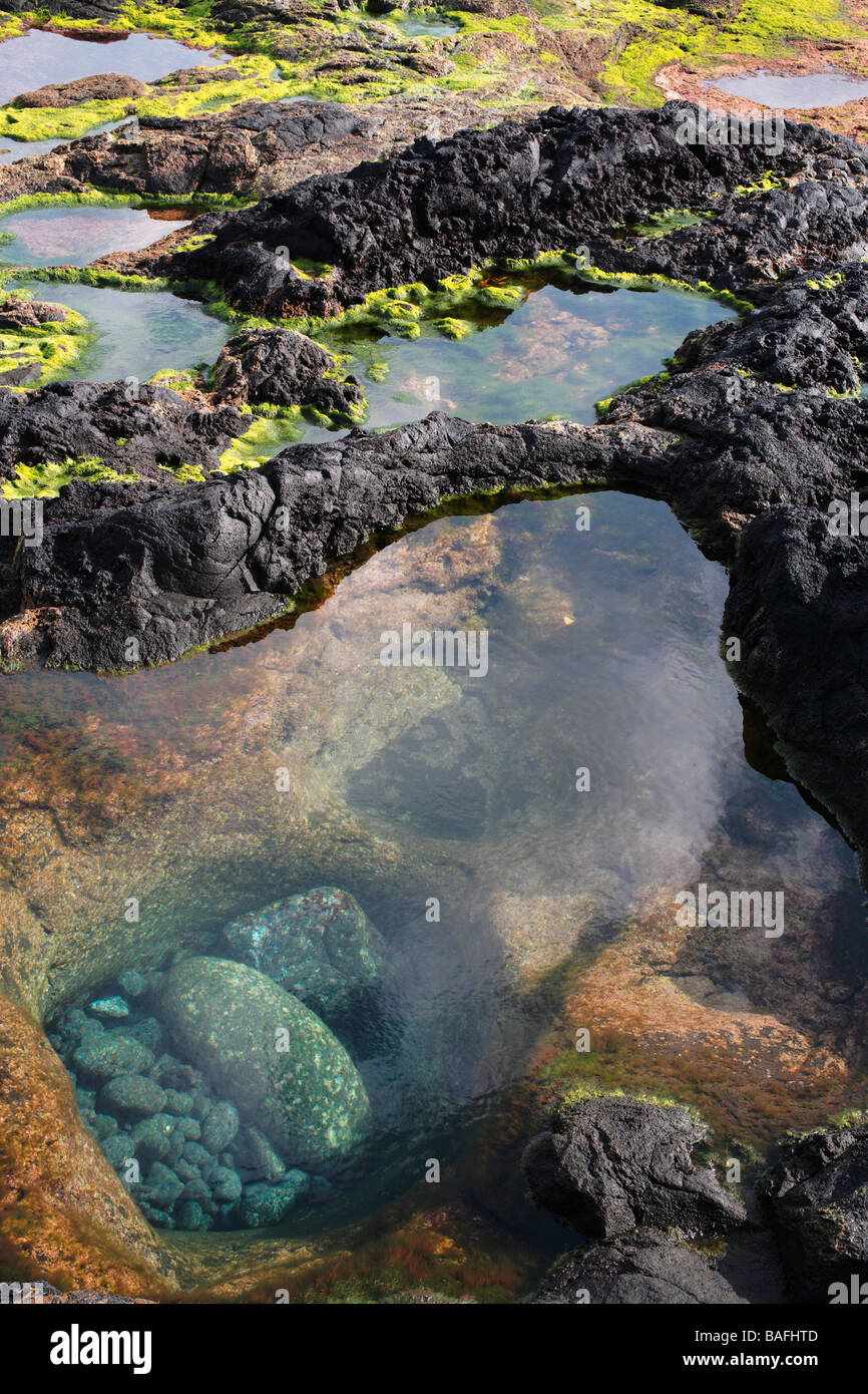 Tidal pool, Azores islands, Portugal Stock Photo - Alamy
