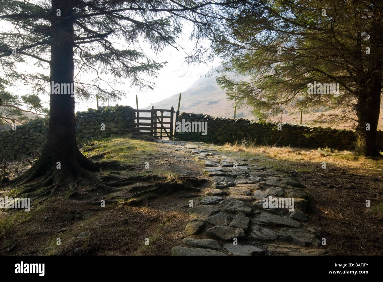 Lake District Path Stock Photo - Alamy