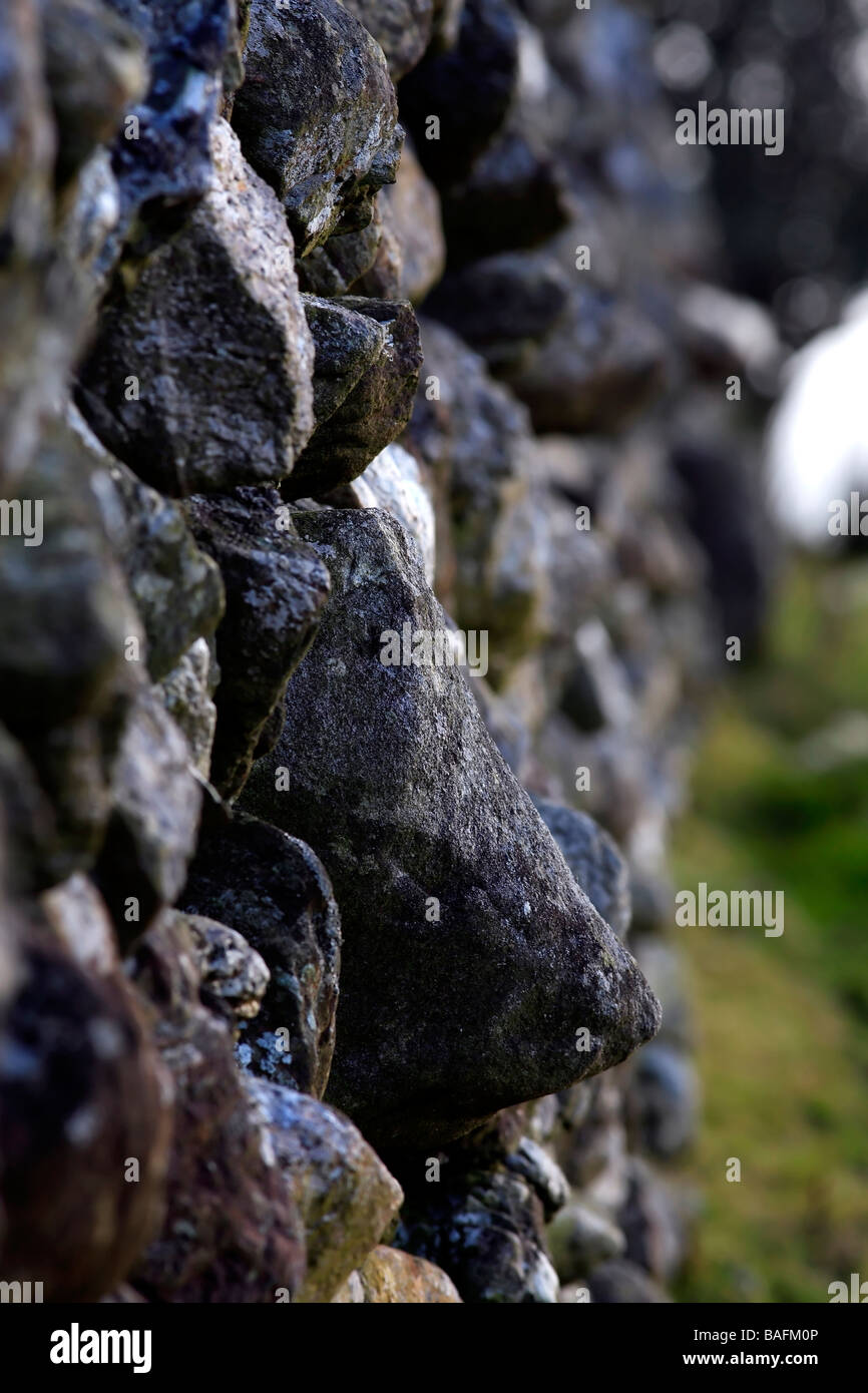 Burren detail hi-res stock photography and images - Alamy