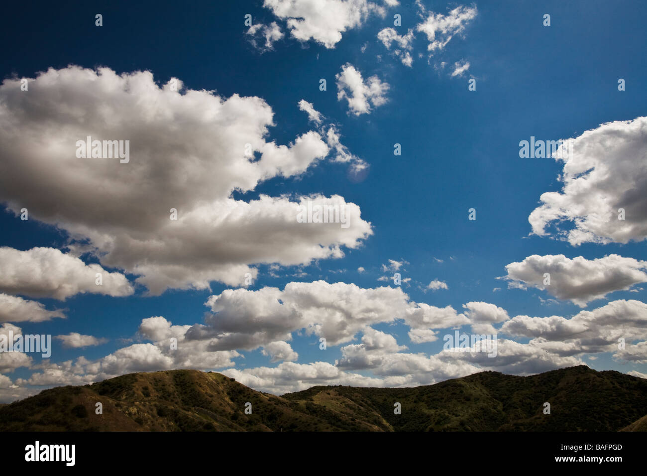 Lonely scorched hi-res stock photography and images - Alamy