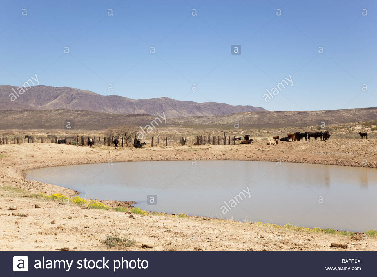 Stock Pond High Resolution Stock Photography and Images - Alamy