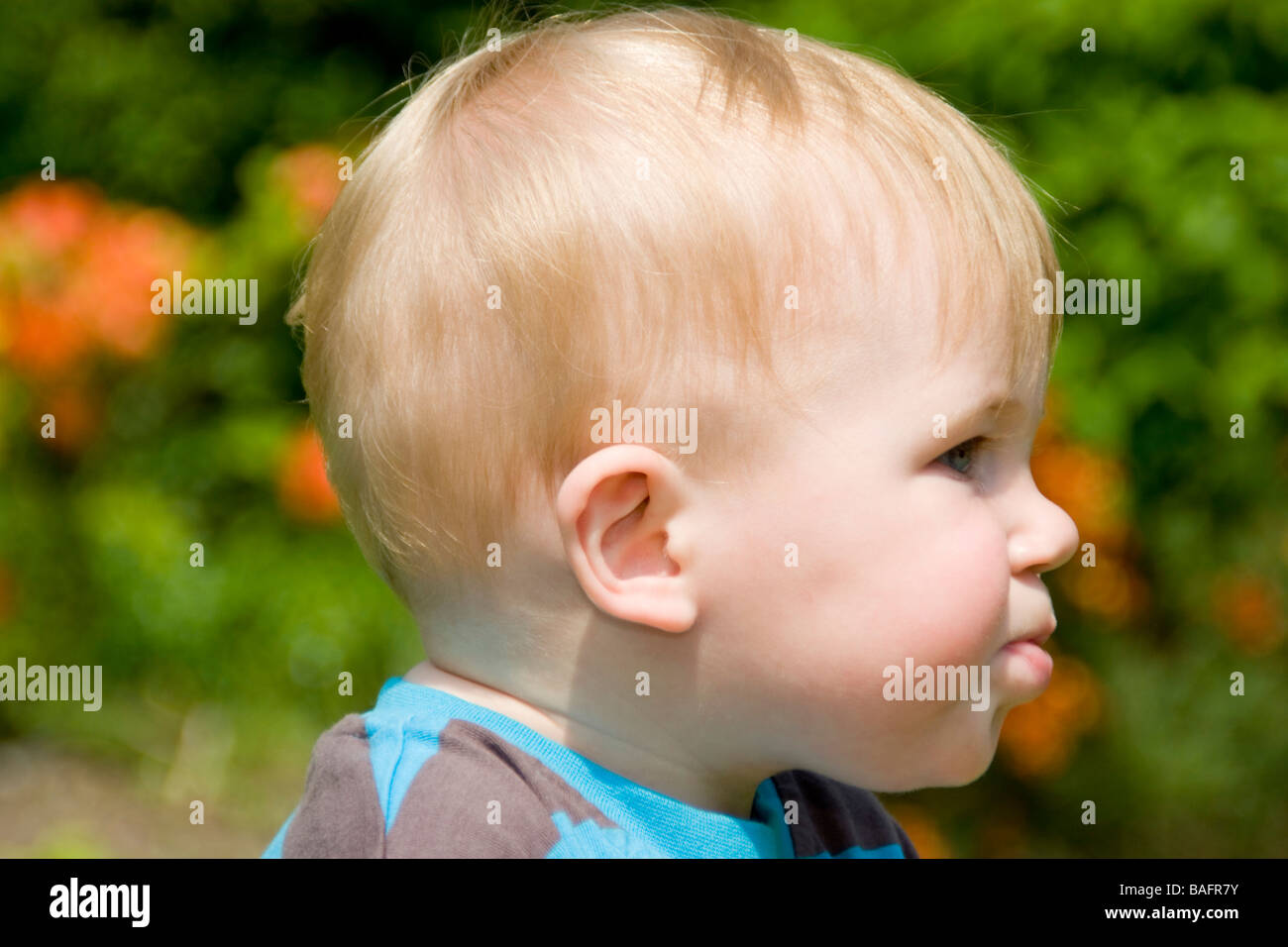 profile of a little boy Stock Photo - Alamy