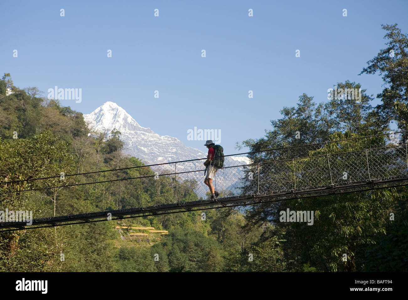 Trekker crosses a swing bridge above the Modi Khola on the walk into ...