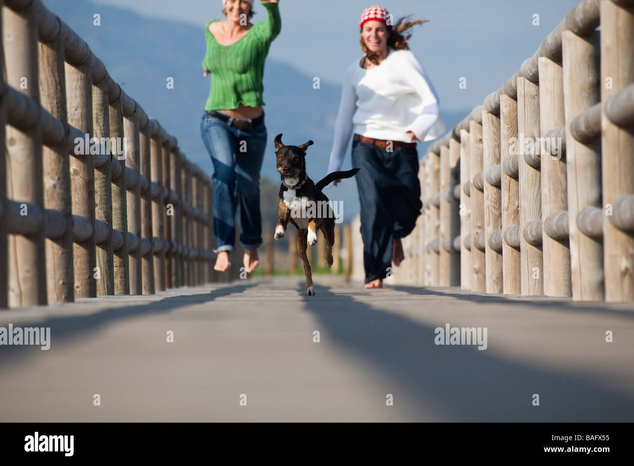 Two women running with a dog Stock Photo - Alamy