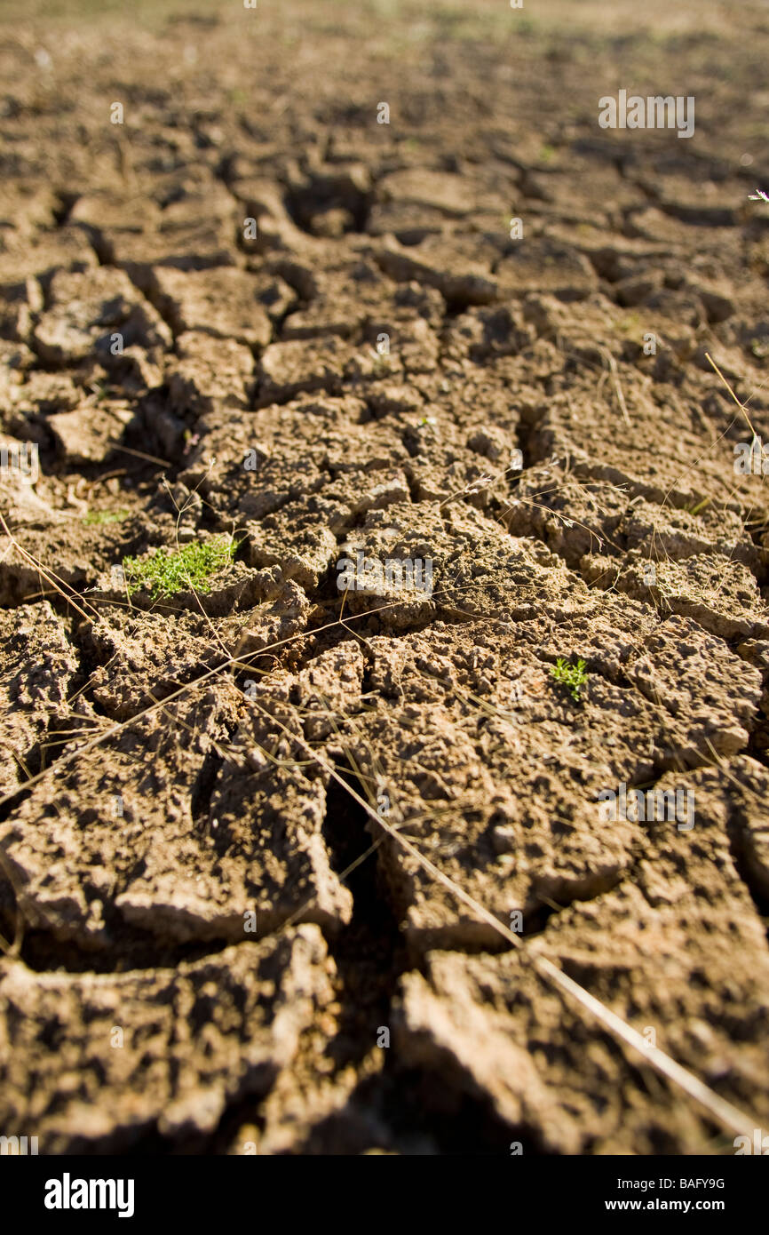 Lack of sun hi-res stock photography and images - Alamy