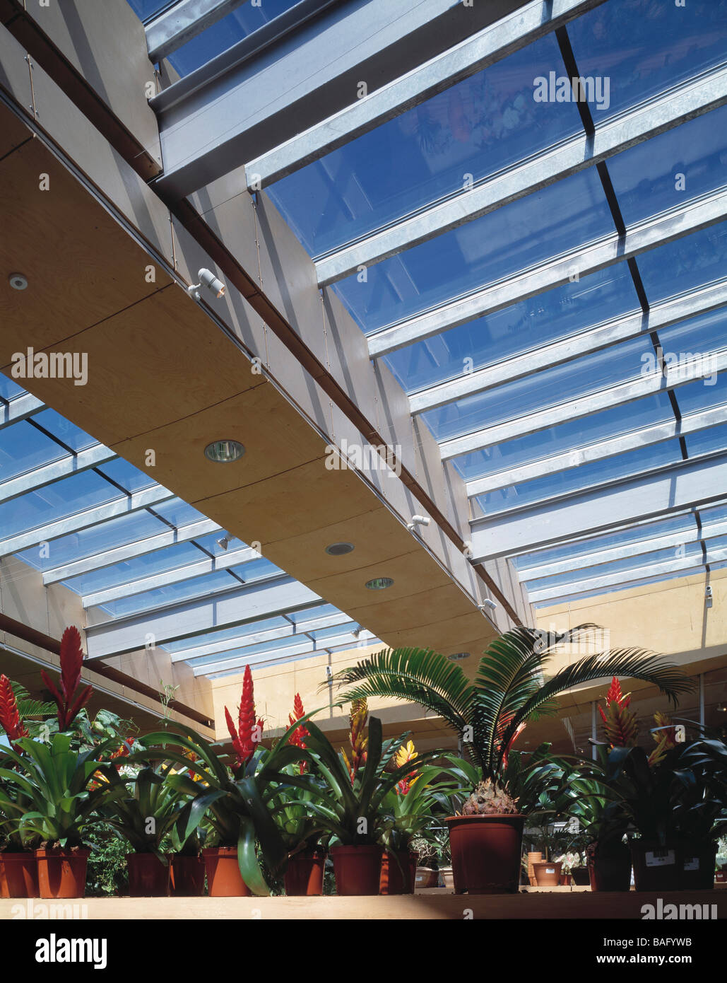 eden project inside to exterior Stock Photo - Alamy