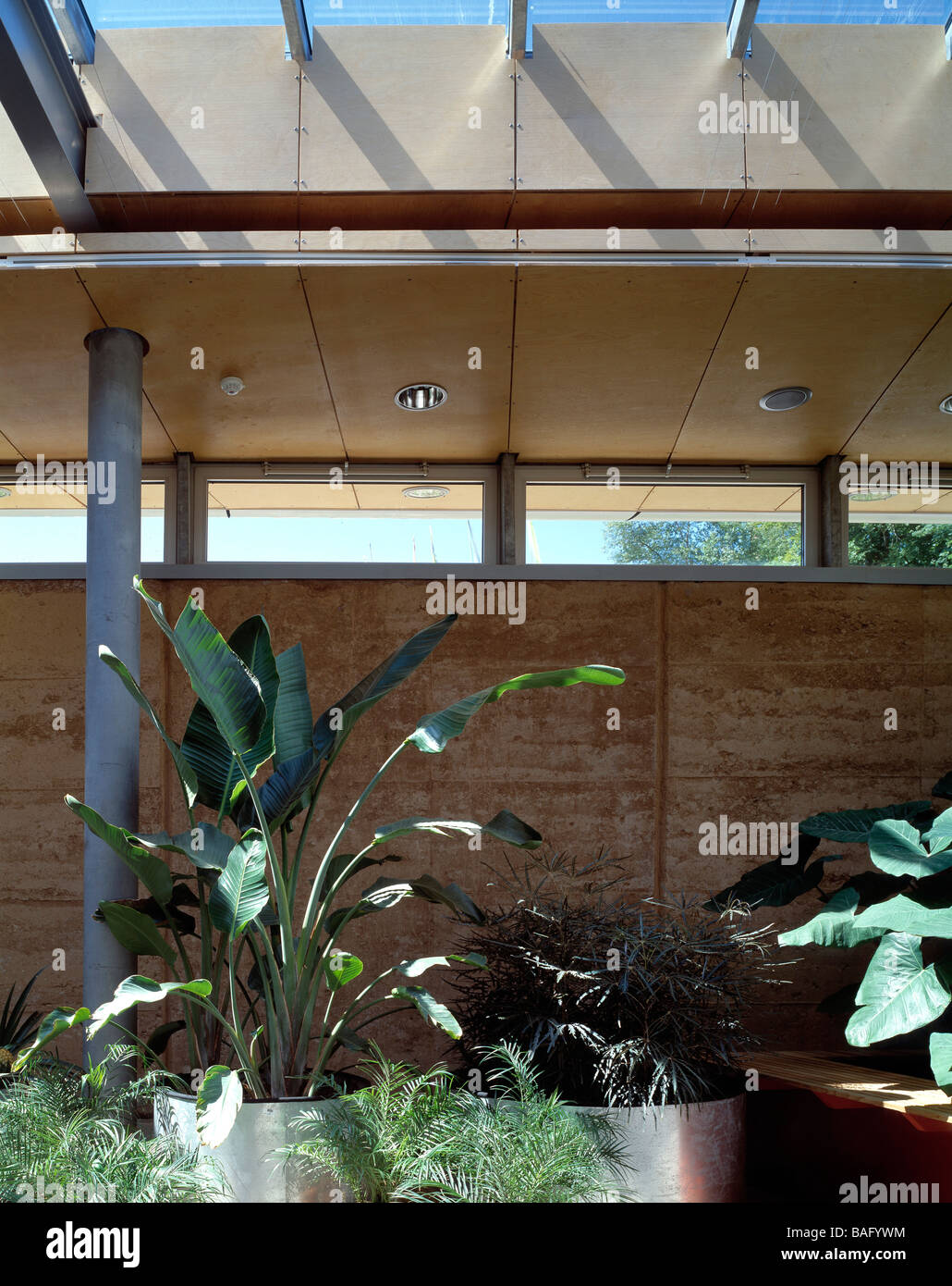 eden project plant shop wall Stock Photo - Alamy