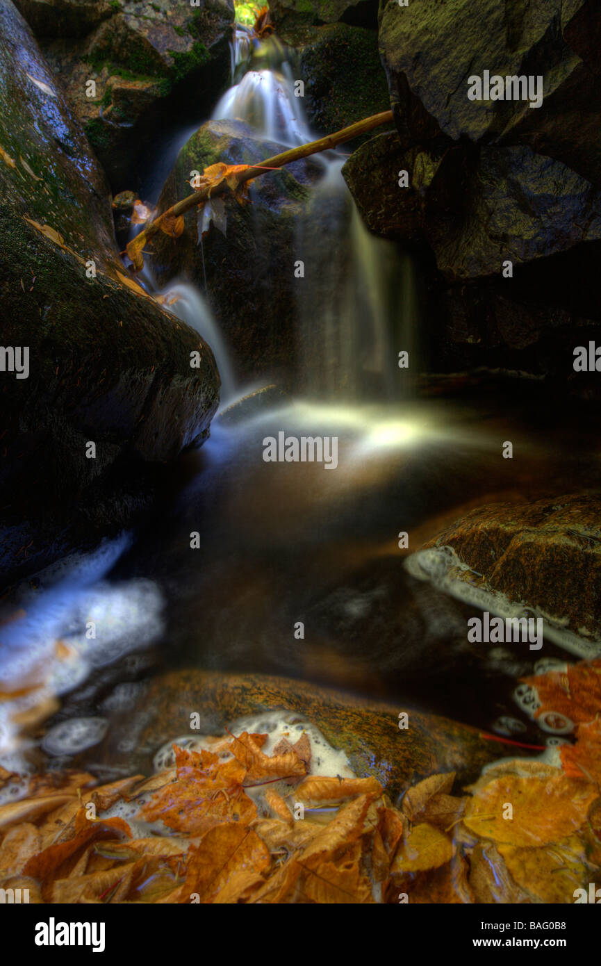 A small stream flowing thru rocks creating a little waterfall ...
