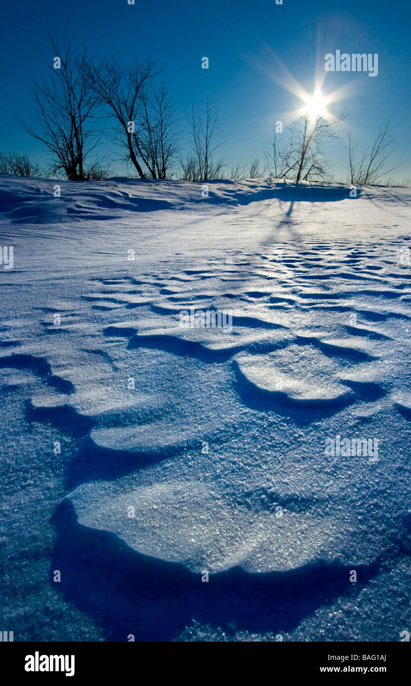 A Cold Canadian Winter landscape of beautiful snow patterns created by ...