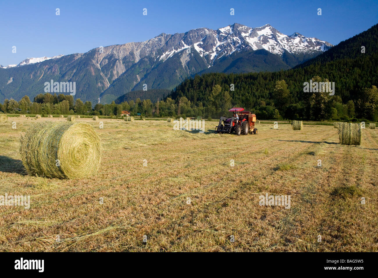 Bailing machinery hi-res stock photography and images - Alamy