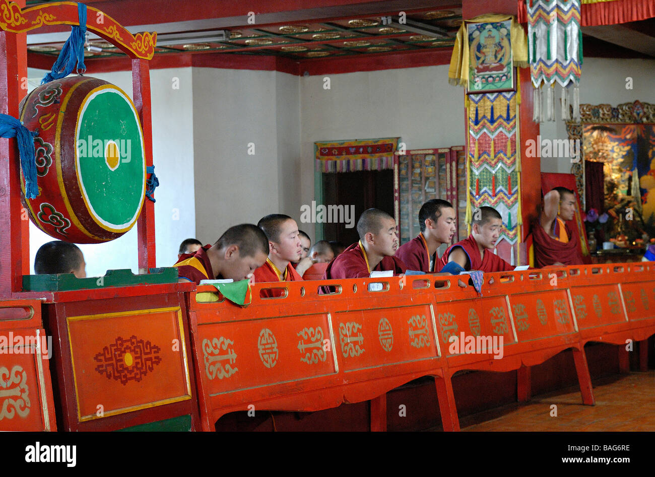 Mongolia, Ulanbaatar, Ganden Monastery, Buddhist monks reading aloud ...