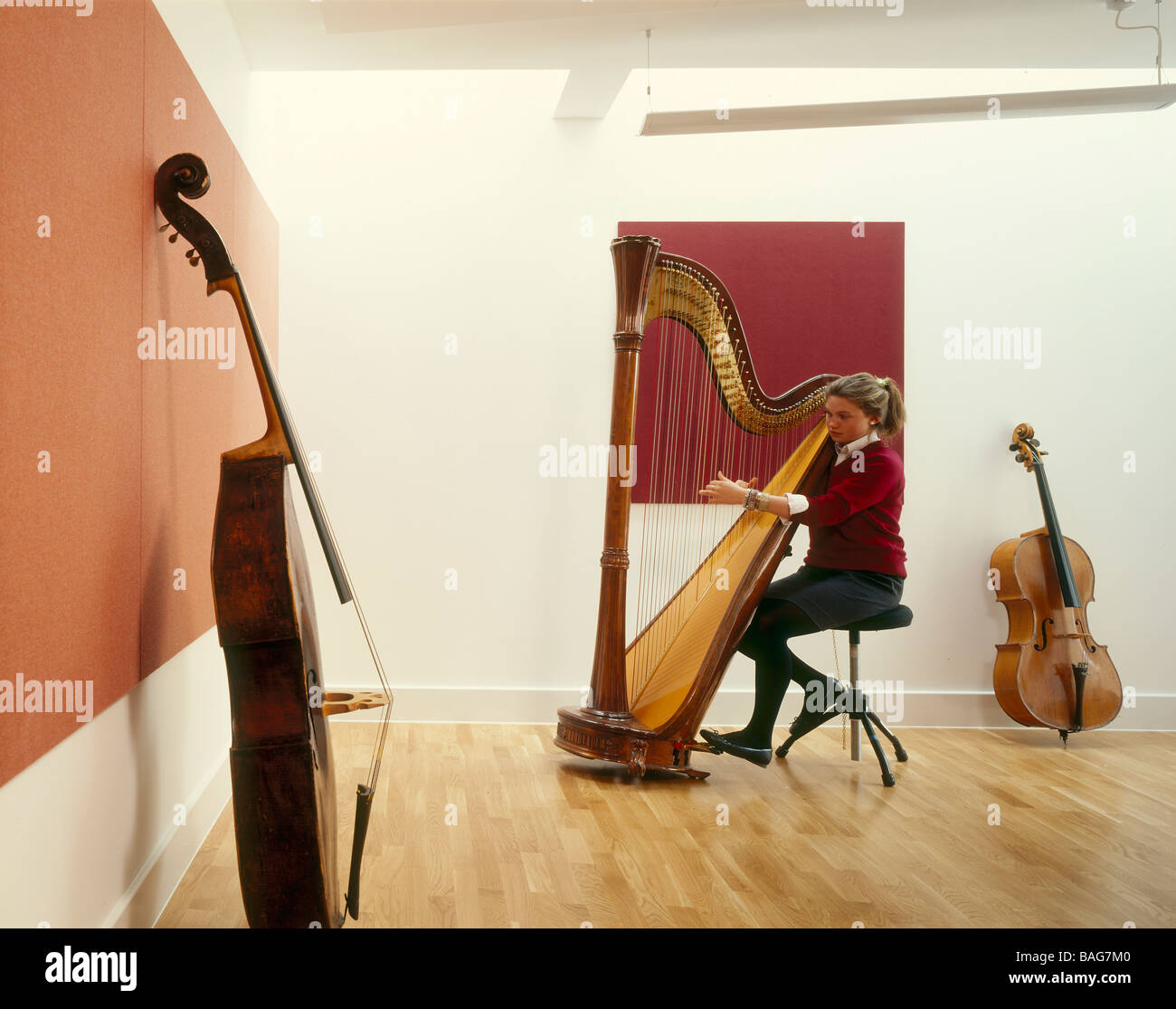 Large harp hi-res stock photography and images - Alamy