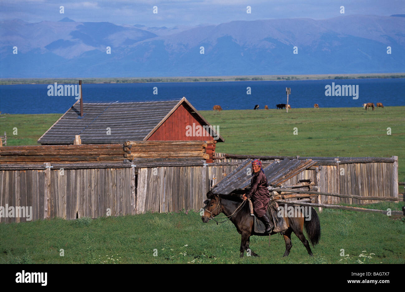 Mongolia, Khovsgol Province, Tsagannur, Tsaatan woman Stock Photo - Alamy