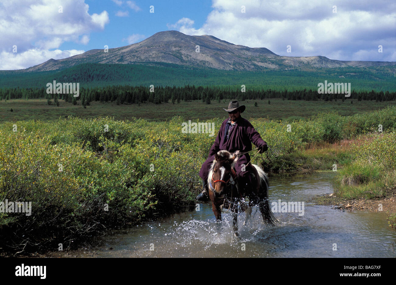 Mongolia, Khovsgol Province, red taiga, Darkhad guide Stock Photo - Alamy