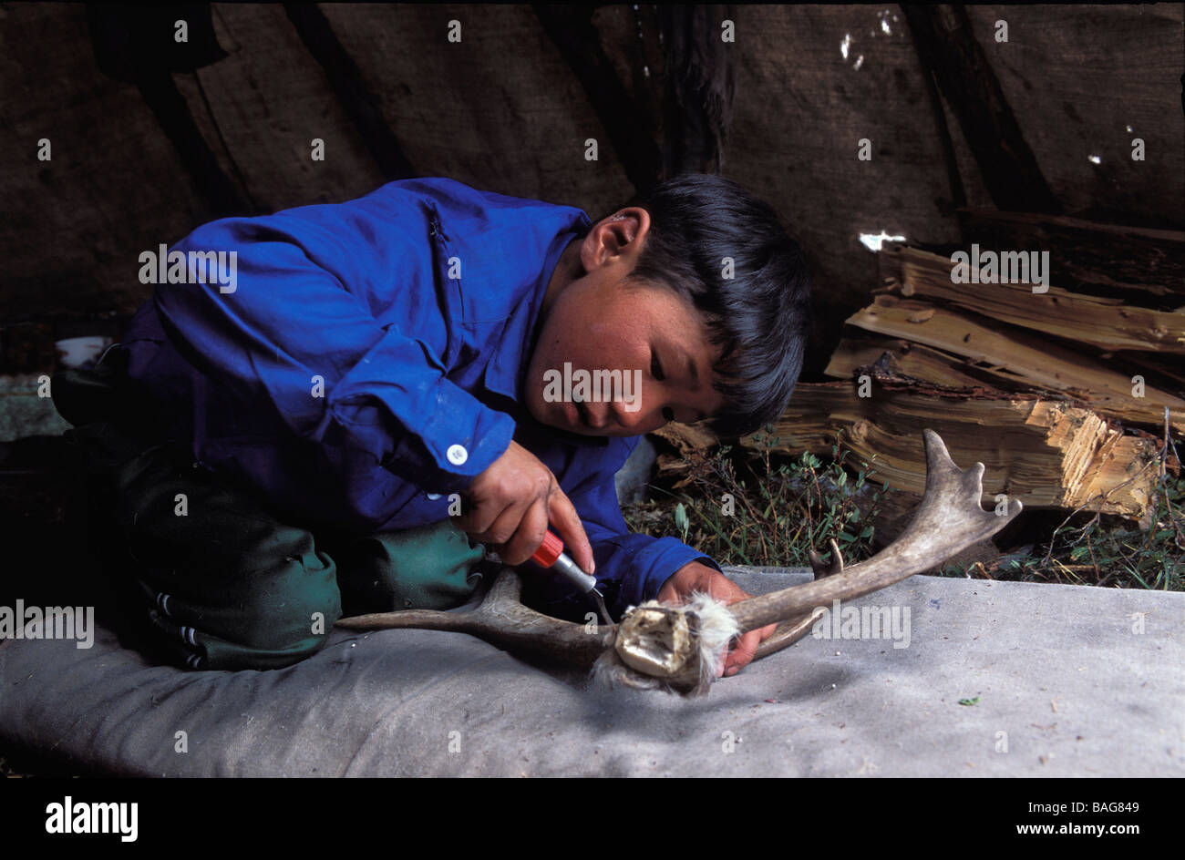 Mongolia, Khovsgol Province, red taiga, Tsaatan boy carving reindeer ...