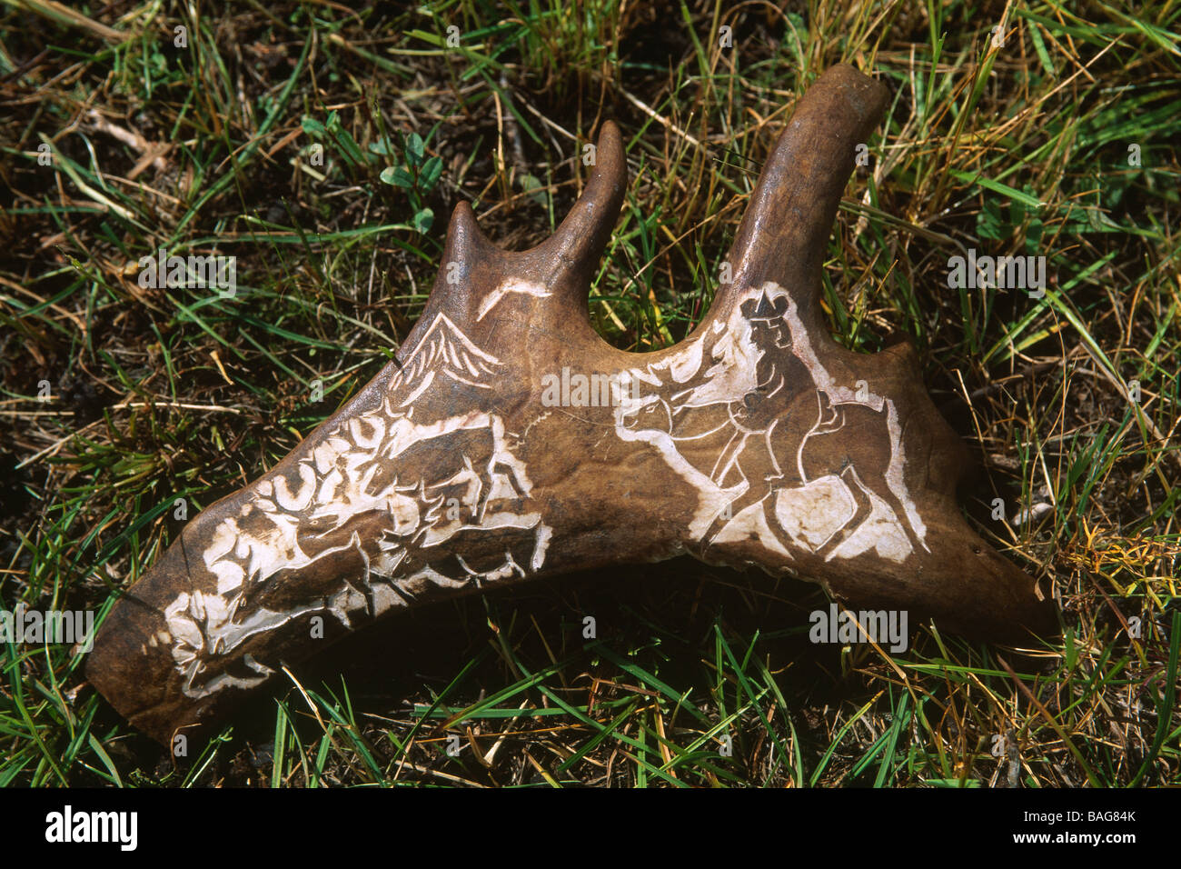 Mongolia, Khovsgol Province, red taiga, Tsaatan crafts, carved reindeer ...