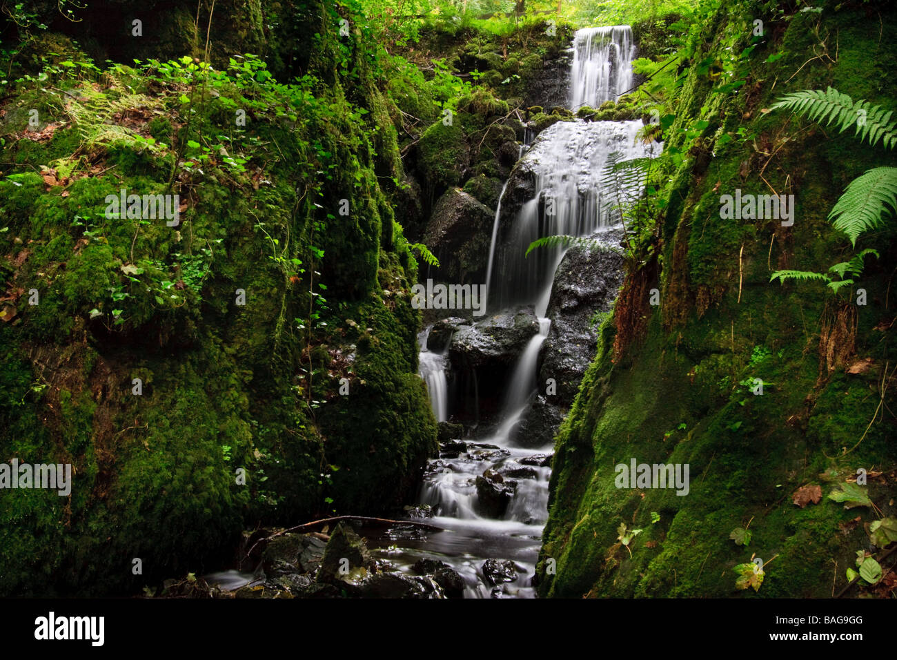 Canonteign Falls, Devon Stock Photo - Alamy