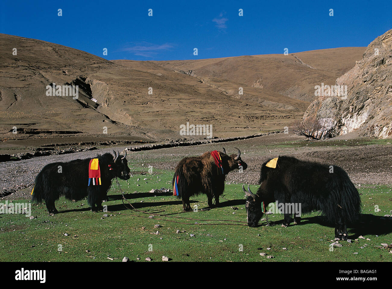 China, Tibet Autonomous Region, Xigaze Prefecture, surroundings of ...