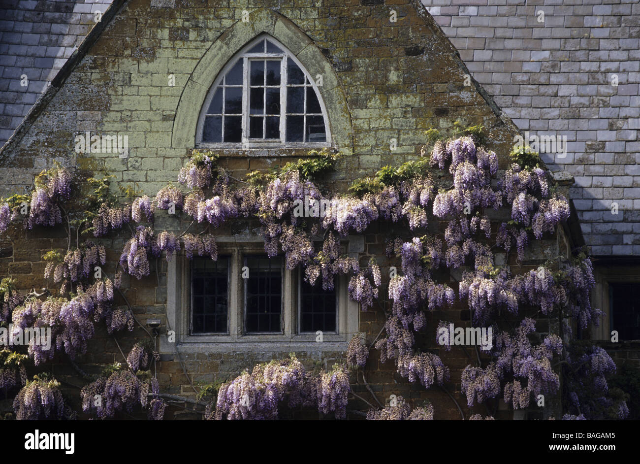 Coton Manor Garden, Northamptonshire, UK Stock Photo - Alamy