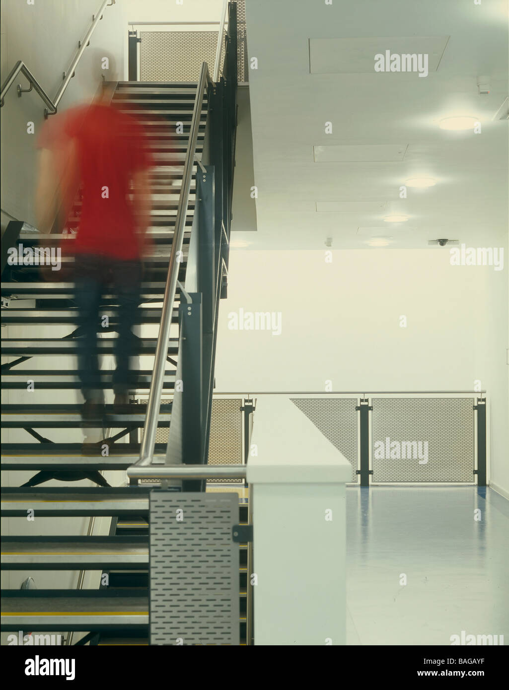 Super lab hi-res stock photography and images - Alamy