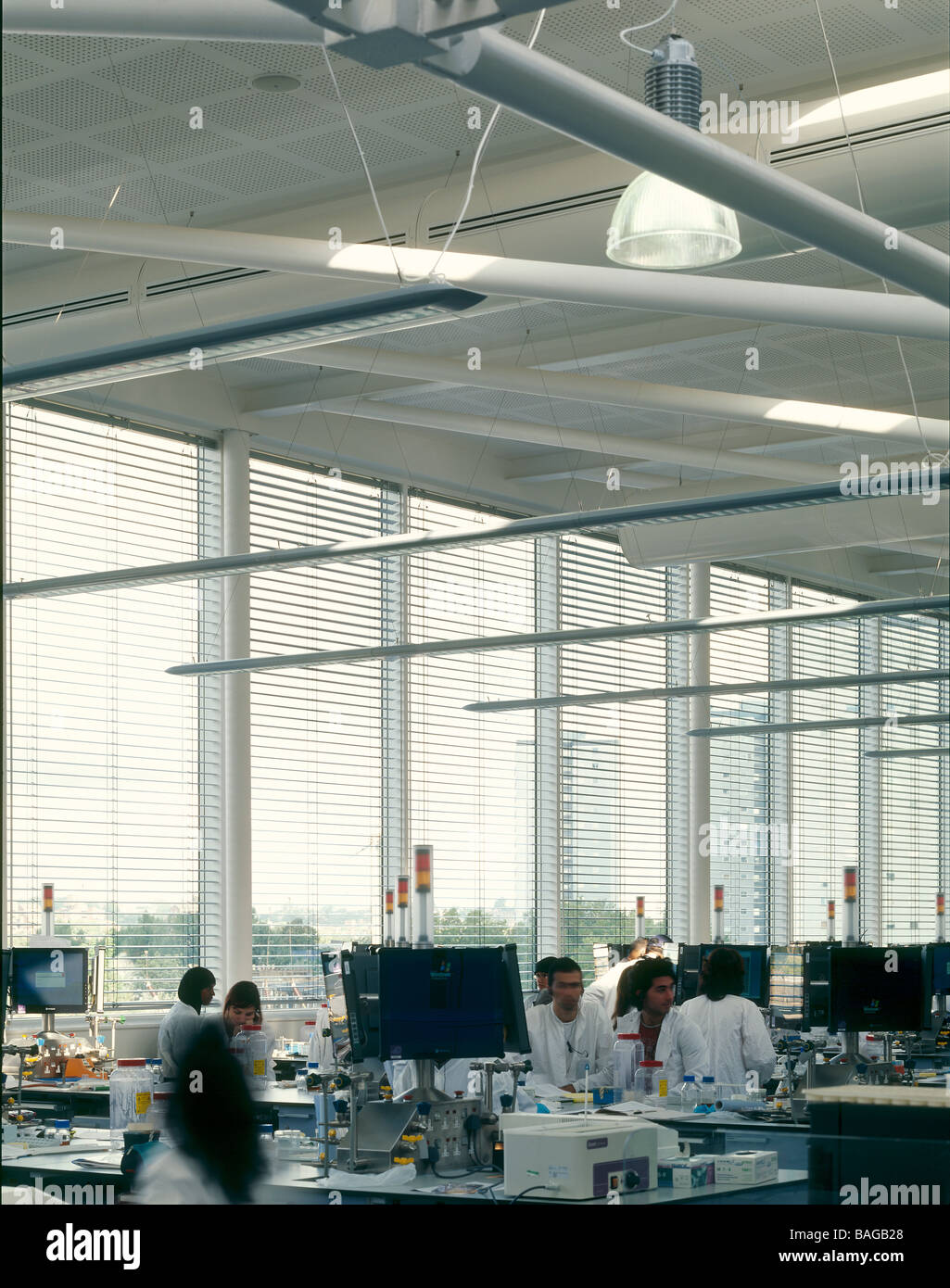 Super lab hi-res stock photography and images - Alamy